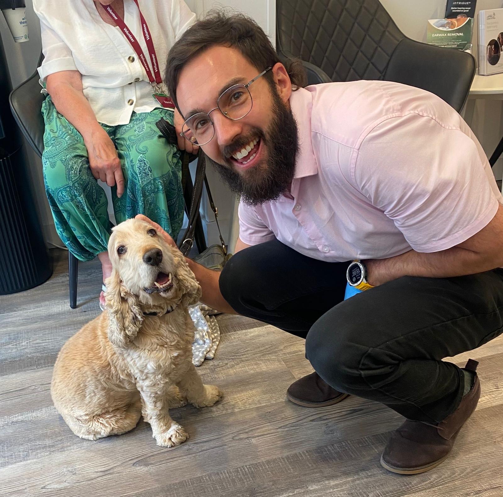 Shining a Spotlight on Hearing Dogs - halohs